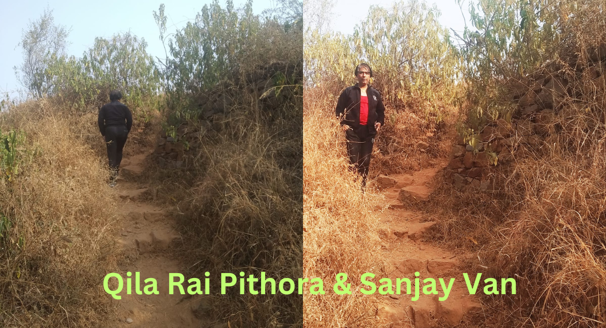 Hidden Places in Delhi: Untold Stories with a Local Tour Guide