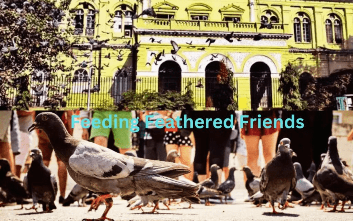 Enjoy 4 Hours Old Delhi Heritage Walk-Red Fort, Jama Masjid & Rikshaw Tour